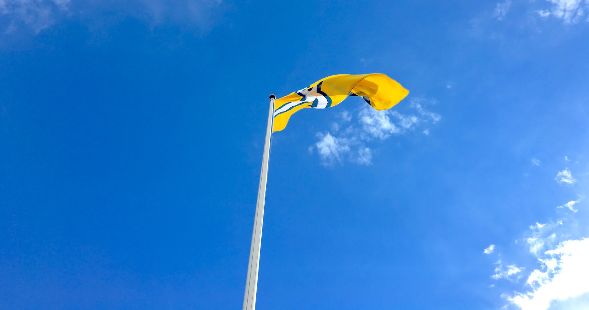 Flagga eller vimpel? - Köp Flaggor & Vimplar av kvalitét på ...